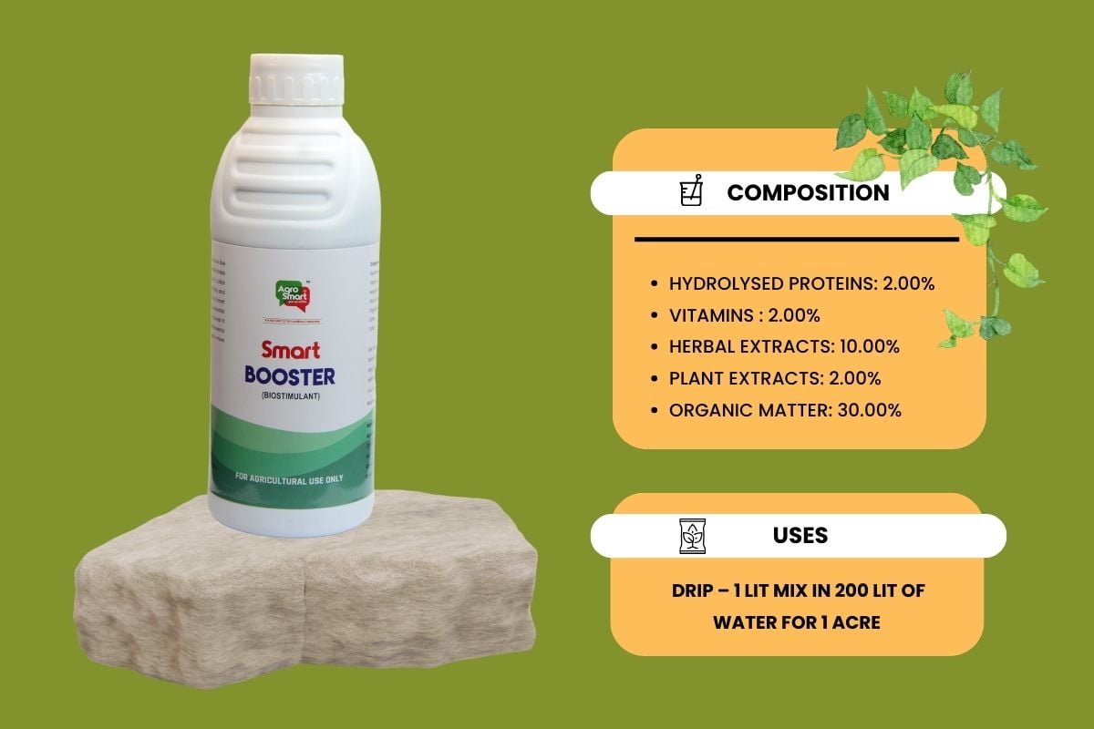 SMART BOOSTER (Biostimulant) - Agro Smart